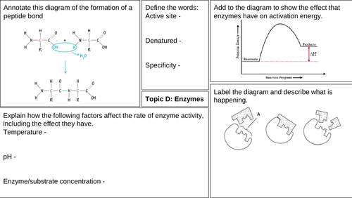 Level 3 BTEC Applied Science Unit 3 Revision Mats WITH ANSWERS ...