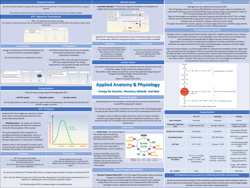 OCR A LEVEL PE KNOWLEDGE ORGANISER PAPER 1 WHOLE | Teaching Resources