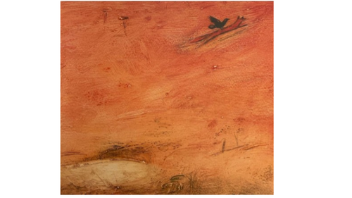 Fox by Margaret Wild Literacy Planning | Teaching Resources