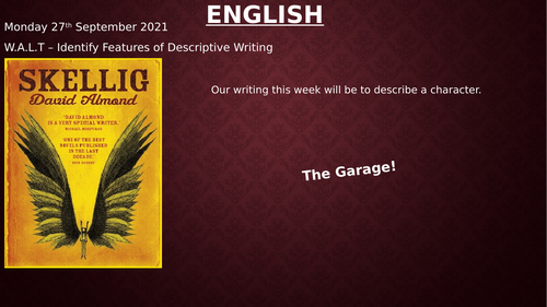 Skellig - Year 5/6 English Term Planning | Teaching Resources