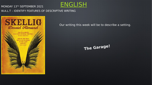 Skellig - Year 5/6 English Term Planning | Teaching Resources