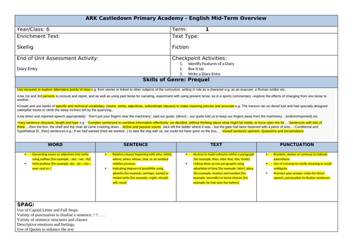 Skellig - Year 5/6 English Term Planning | Teaching Resources