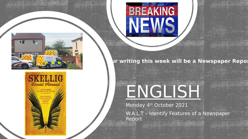 Skellig - Year 5/6 English Term Planning | Teaching Resources