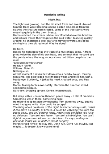 Skellig - Year 5/6 English Term Planning | Teaching Resources