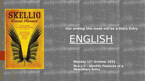 Skellig - Year 5/6 English Term Planning | Teaching Resources