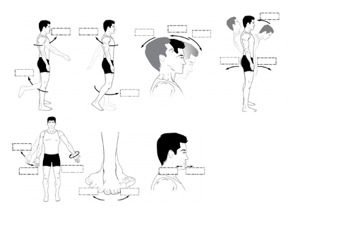 Btec Applied Sci U8 - Aim A - The impact of disorders of the ...