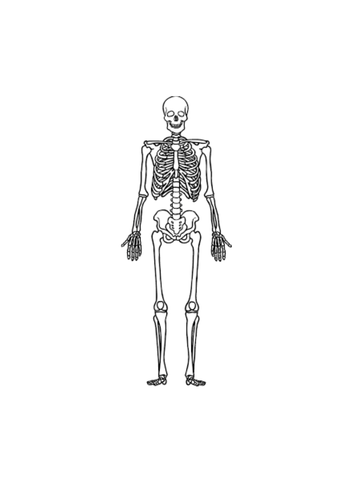 Btec Applied Sci U8 - Aim A - The impact of disorders of the ...