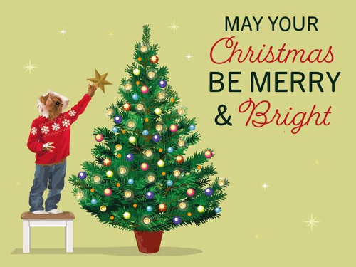 ‘Relax And Enjoy Your Christmas Holiday’ E-Card | Teaching Resources