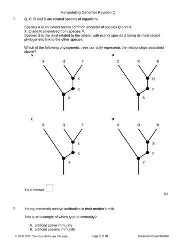 OCR Biology A Module 6 Manipulating Genomes Revision Notes | Teaching ...