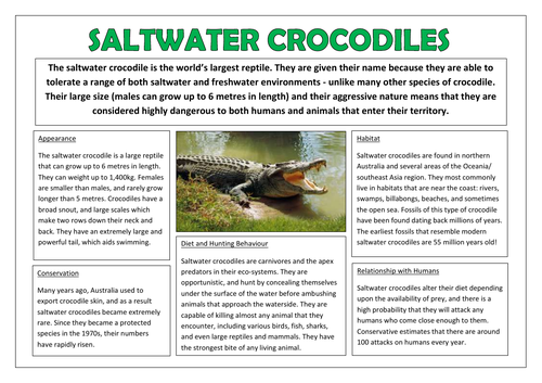 Saltwater Crocodiles Non-Fiction Text - Whole Class Reading Session ...