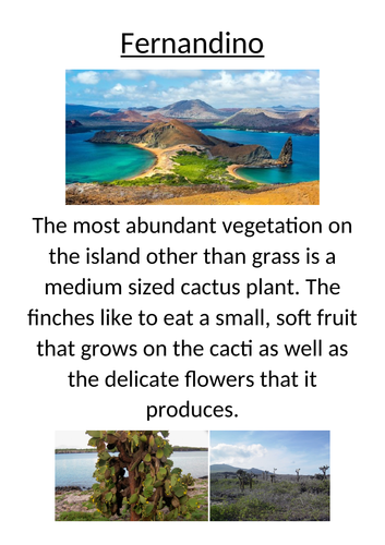 KS2 Science - Evolution and Inheritance - Darwin and His Finches - year ... KS2 Science - Evolution and Inheritance - Darwin and His Finches - year ...
