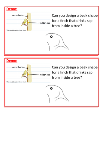 KS2 Science - Evolution and Inheritance - Darwin and His Finches - year ... KS2 Science - Evolution and Inheritance - Darwin and His Finches - year ...