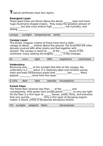 Tropical Rainforests Introduction and Layers Lesson | Teaching Resources
