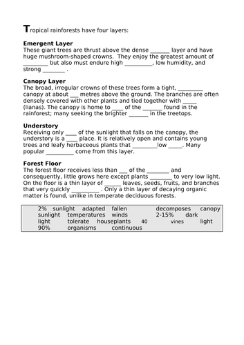 Tropical Rainforests Introduction and Layers Lesson | Teaching Resources