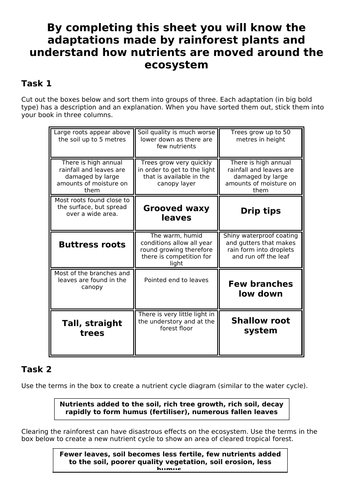 Tropical Rainforest Plant Adaptations and Nutrient Cycling Lesson ...
