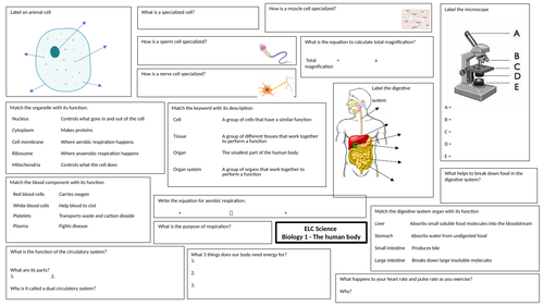 ELC Science - Component 1 - Human Biology - Revision Mat | Teaching ...