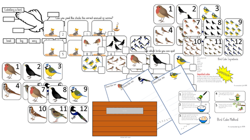 Garden Bird Activities | Teaching Resources