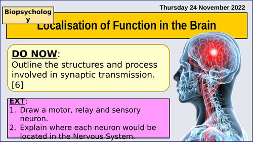 A-level Psychology - LOCALISATION OF FUNCTION IN THE BRAIN (Year 2 ...