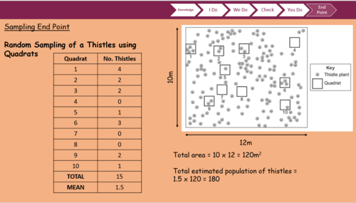 Sampling, Quadrats, KS4 | Teaching Resources