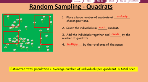 Sampling, Quadrats, KS4 | Teaching Resources