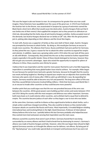 What caused World War 1 in the summer of 1914?-SAMPLE ESSAY | Teaching ...
