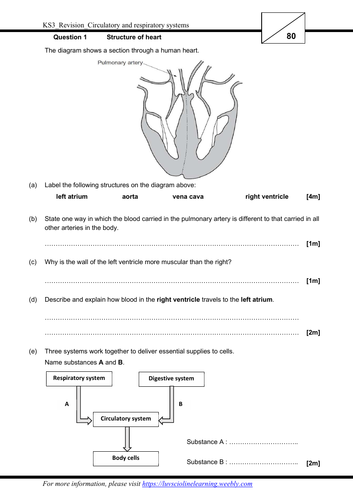 KS3 Revision - Circulatory and respiratory system (Set 1) | Teaching ...