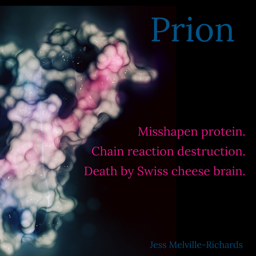 34 Science Haikus (Scikus) Illustrated Collection of Poems | Teaching ...