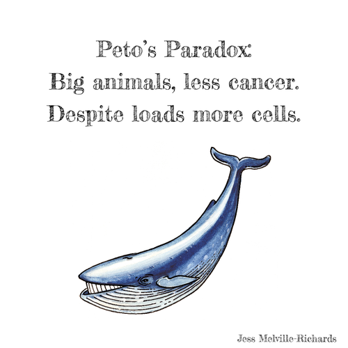 34 Science Haikus (Scikus) Illustrated Collection of Poems | Teaching ...