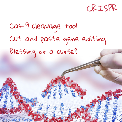 34 Science Haikus (Scikus) Illustrated Collection of Poems | Teaching ...