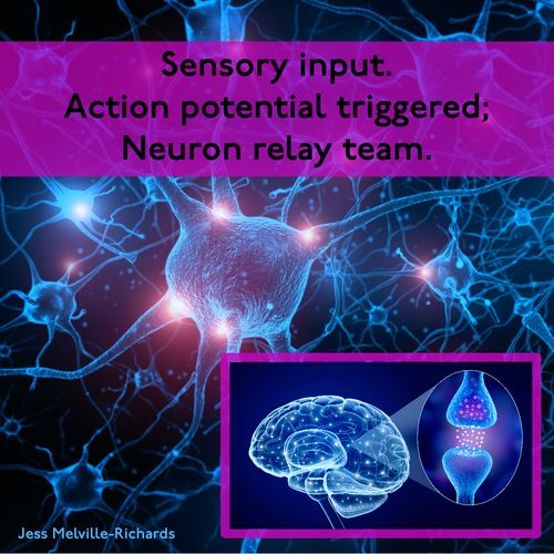 34 Science Haikus (Scikus) Illustrated Collection of Poems | Teaching ...