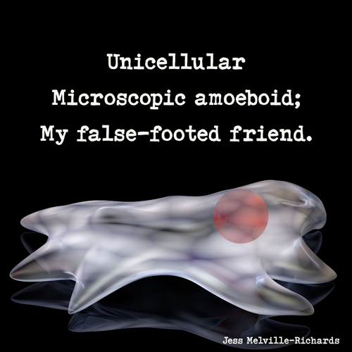 34 Science Haikus (Scikus) Illustrated Collection of Poems | Teaching ...