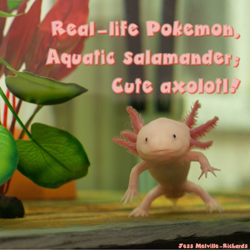 34 Science Haikus (Scikus) Illustrated Collection of Poems | Teaching ...