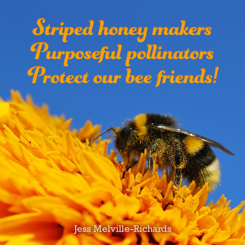 34 Science Haikus (Scikus) Illustrated Collection of Poems | Teaching ...