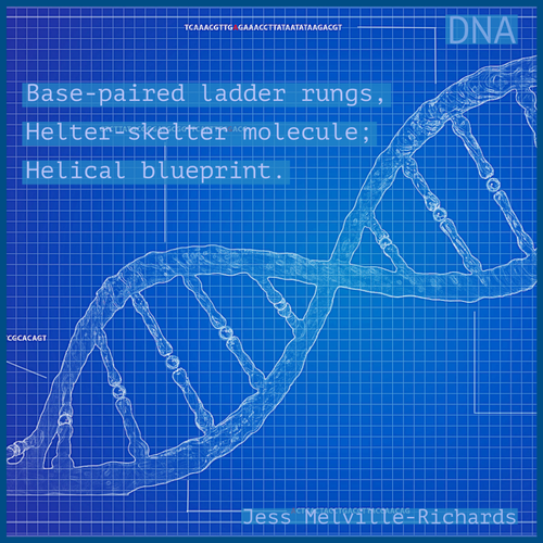 34 Science Haikus (Scikus) Illustrated Collection of Poems | Teaching ...