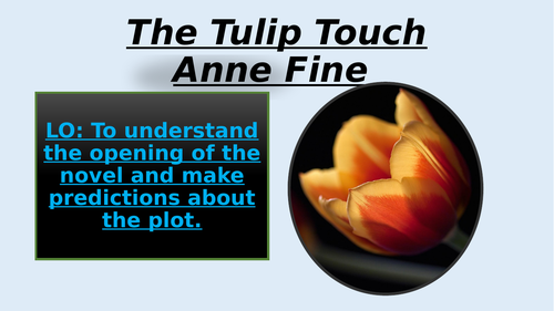 The Tulip Touch- Full Unit | Teaching Resources
