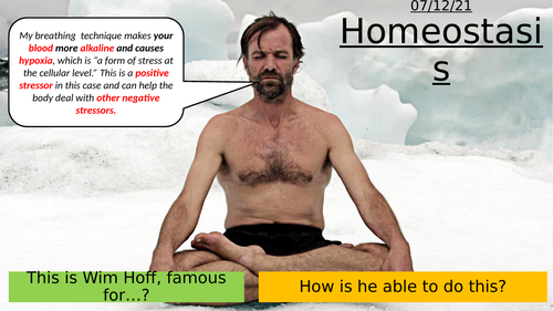 AQA Homeostasis - BUNDLE | Teaching Resources AQA Homeostasis - BUNDLE | Teaching Resources