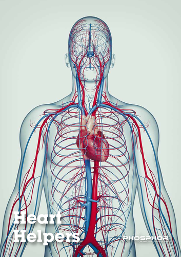 Heart Helpers | Teaching Resources