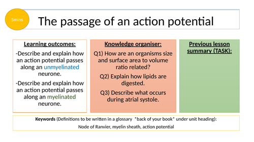 3.6.2.1 L3 The passage of an action potential (AQA A-level Biology ...