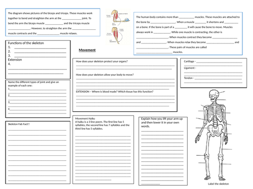 Ks3 Revision Mats Biology Teaching Resources