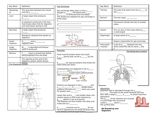 KS3 Revision Mats - Biology | Teaching Resources