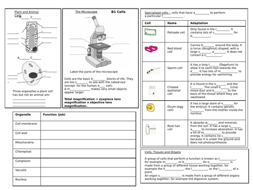 KS3 Revision Mats - Biology | Teaching Resources