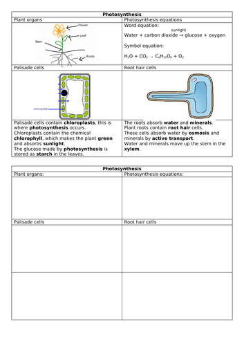 Photosynthesis revision knowledge organiser key stage 3 | Teaching ...