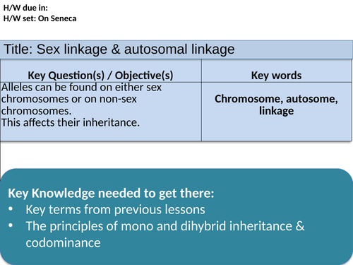 AQA A level Biology - 3.7 Genetics - 4 | Teaching Resources