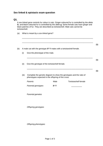 AQA A level Biology - 3.7 Genetics - 5 | Teaching Resources