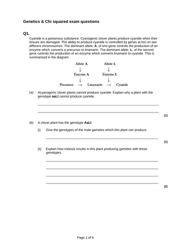 AQA A level Biology - 3.7 Genetics - 6 | Teaching Resources