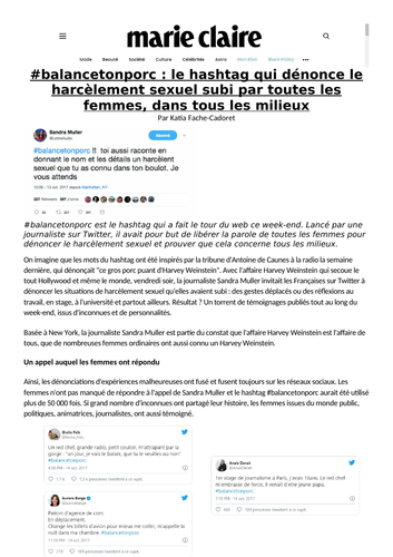 French A level media- me too/balance ton porc | Teaching Resources