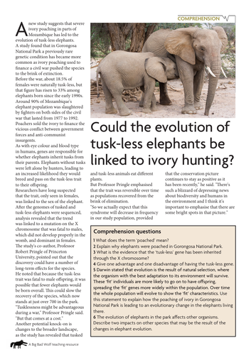 Comprehension task- Could the evolution of tusk-less elephants be ...
