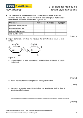 Biological molecules exam - A level AQA Biology | Teaching Resources