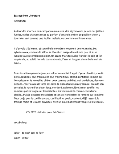 LESSON PLAN A LEVEL FRENCH - a passage from literature to translate ...