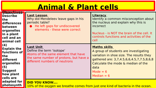 Biology Starter Slides cell structure & transport | Teaching Resources